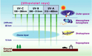 What Is Ultraviolet Light? - UVPod